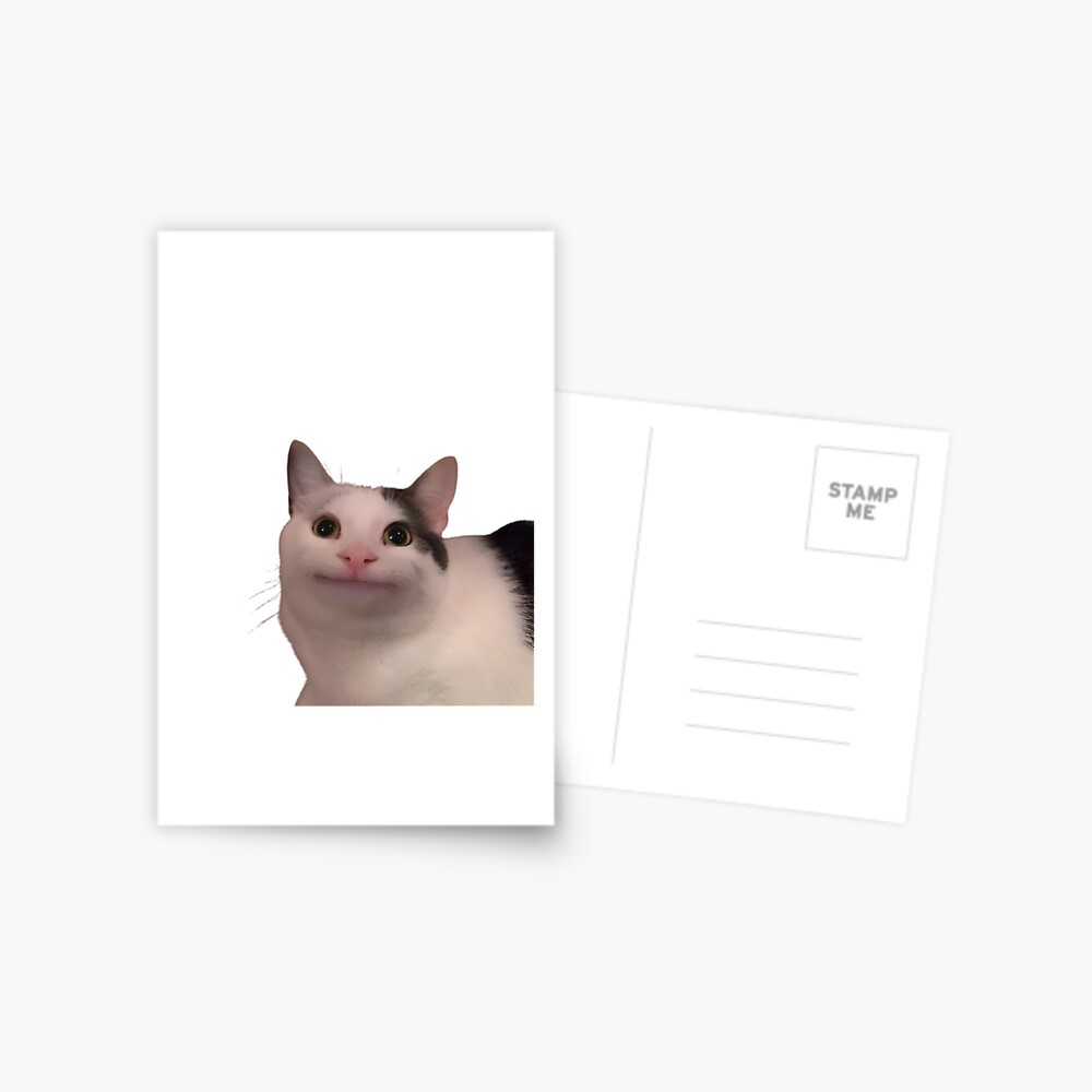 "Real Beluga Meme Cat" Sticker for Sale by deadlock41 | Redbubble