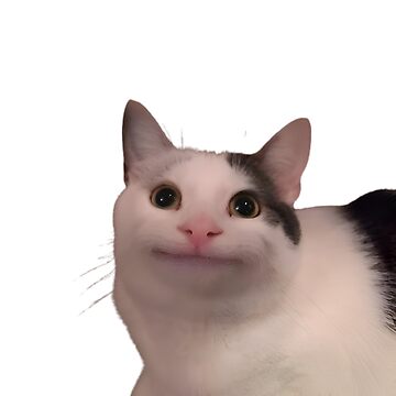 "Real Beluga Meme Cat" Sticker for Sale by deadlock41 | Redbubble