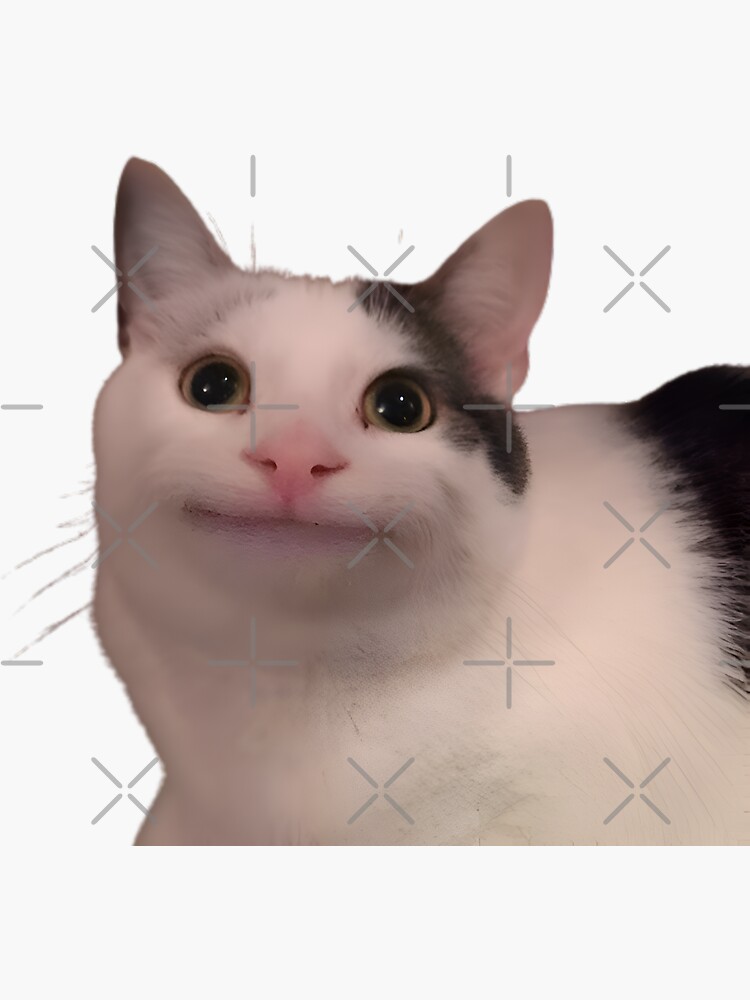 "Real Beluga Meme Cat" Sticker for Sale by deadlock41 | Redbubble