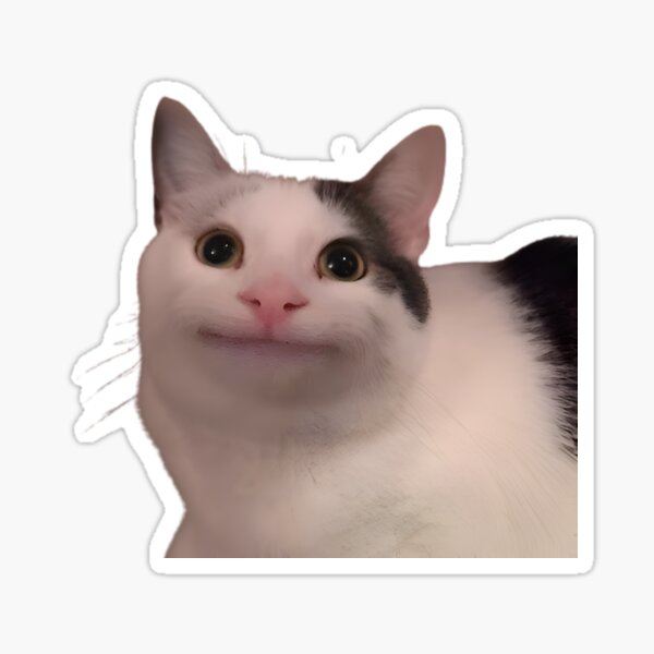 "Real Beluga Meme Cat" Sticker for Sale by deadlock41 | Redbubble