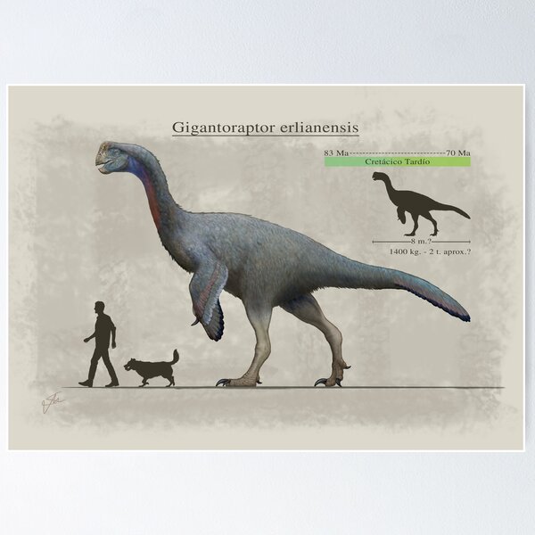 Gigantoraptor Erlianensis Size