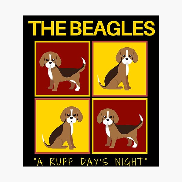 Lámina fotográfica «¡Los Beagles (Beatles) están aquí para entretener ...