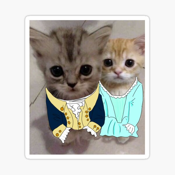 "Hamilton Cat Meme" Sticker for Sale by amyhoneymann | Redbubble