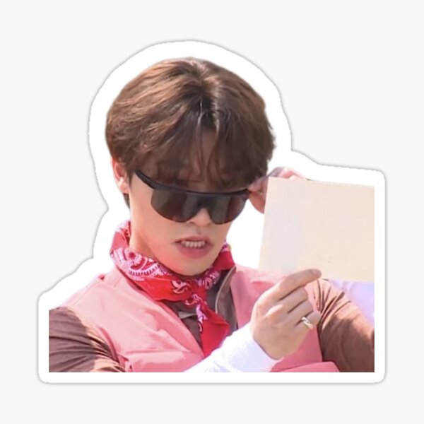 "Seventeen Dino meme sticker picheolin" Sticker for Sale by ...