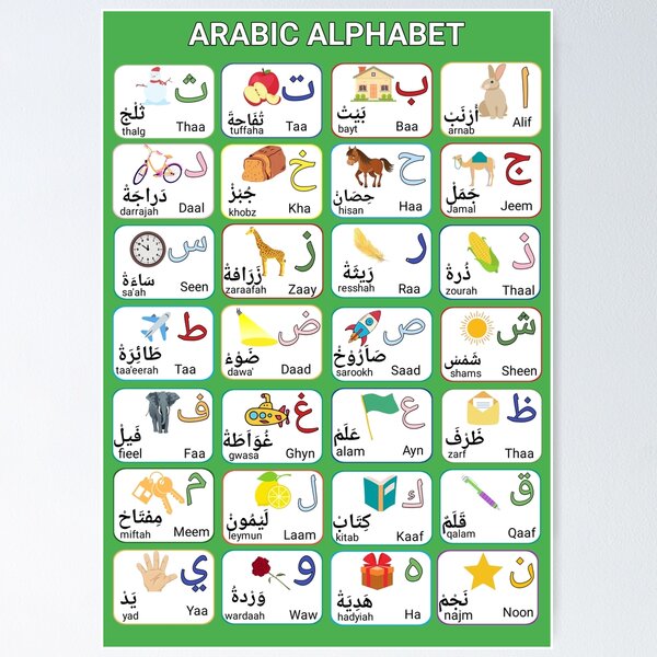 "Arabic Alphabet Learning Poster for Kids with Arabic and English Text ...