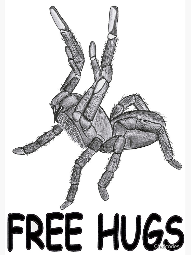 "Free hugs spider" Framed Art Print by Chalcodes | Redbubble