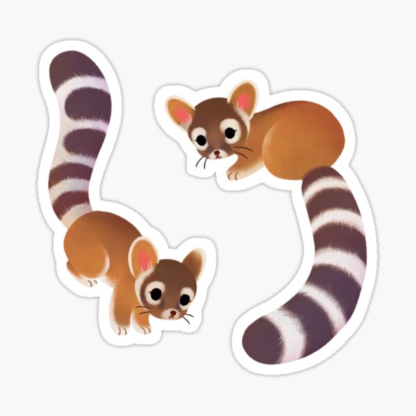 "Ringtail - dark" Sticker for Sale by pikaole | Redbubble