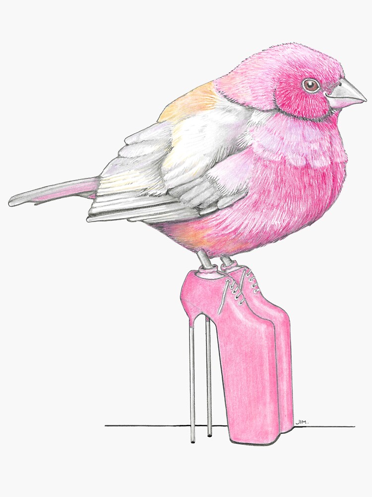 "Firefinch in Very High Heels" Sticker for Sale by JimsBirds | Redbubble