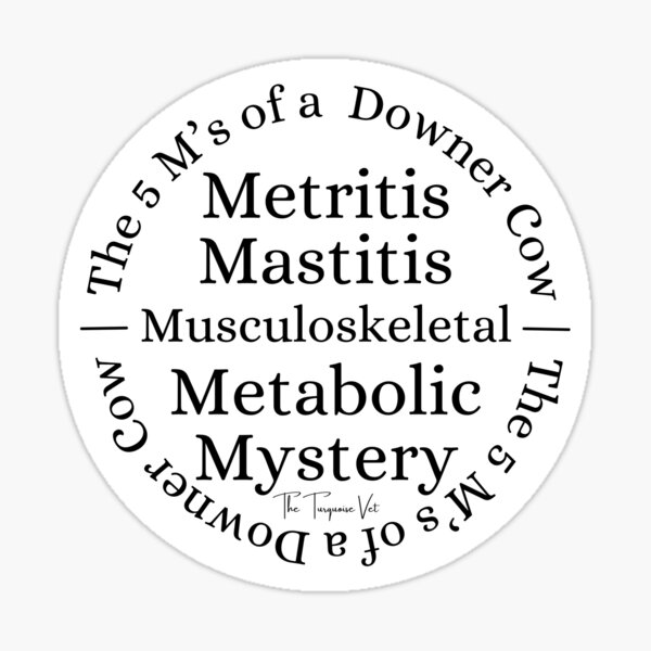 "The 5 M's of a Downer Cow" Sticker for Sale by TheTurquoiseVet | Redbubble