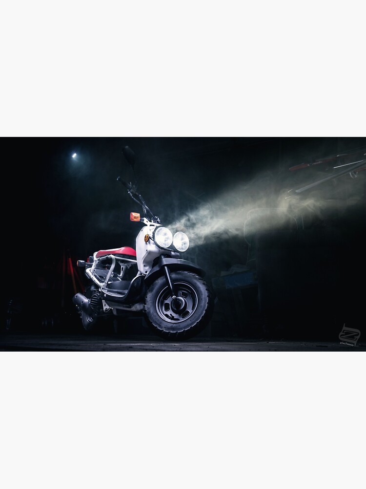 "BRING DA RUCKUS" Sticker by joshzphoto | Redbubble