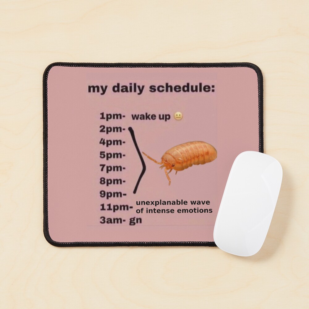 "roly poly daily schedule isopod" Sticker for Sale by staticc | Redbubble