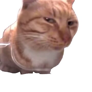 "Side Eye Cat Meme" Sticker for Sale by Emizzy | Redbubble