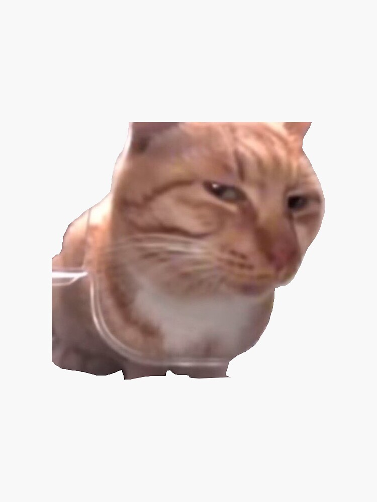 "Side Eye Cat Meme" Sticker for Sale by Emizzy | Redbubble