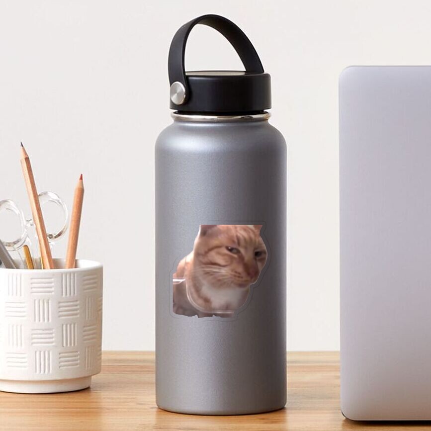 "Side Eye Cat Meme" Sticker for Sale by Emizzy | Redbubble