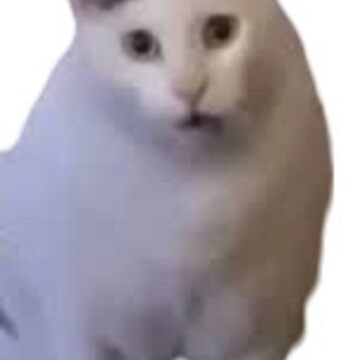 "Huh cat meme" Sticker for Sale by kcranstone | Redbubble