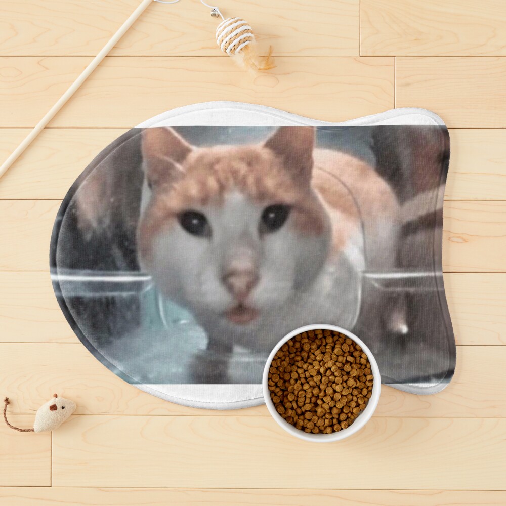 "Cat eating Looking up Mr. Fresh Sideeye Stare meme" Sticker by dreikk ...