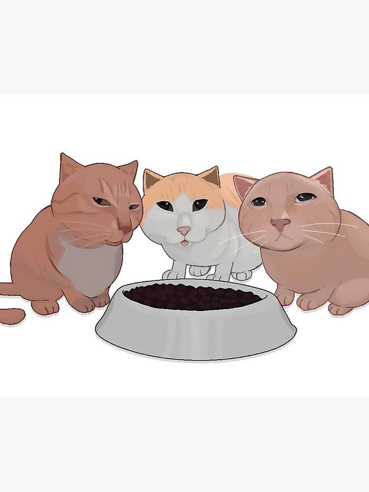 "Mr fresh cat stare sideeye where is the titan speakerman meme funny ...