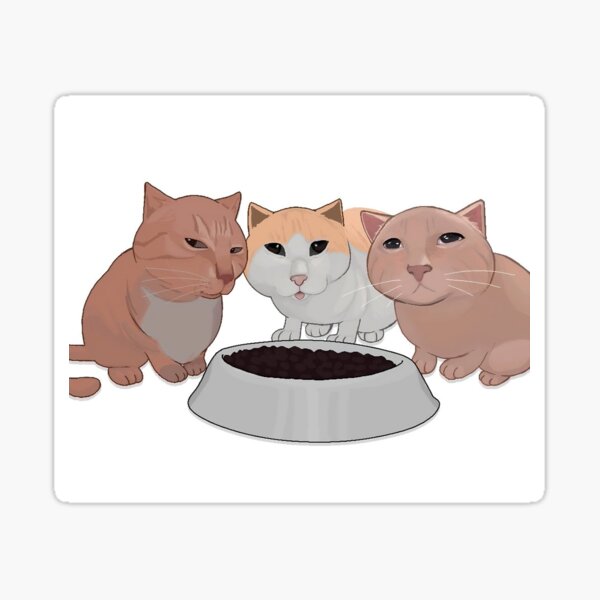 "Mr fresh cat stare sideeye where is the titan speakerman meme funny ...