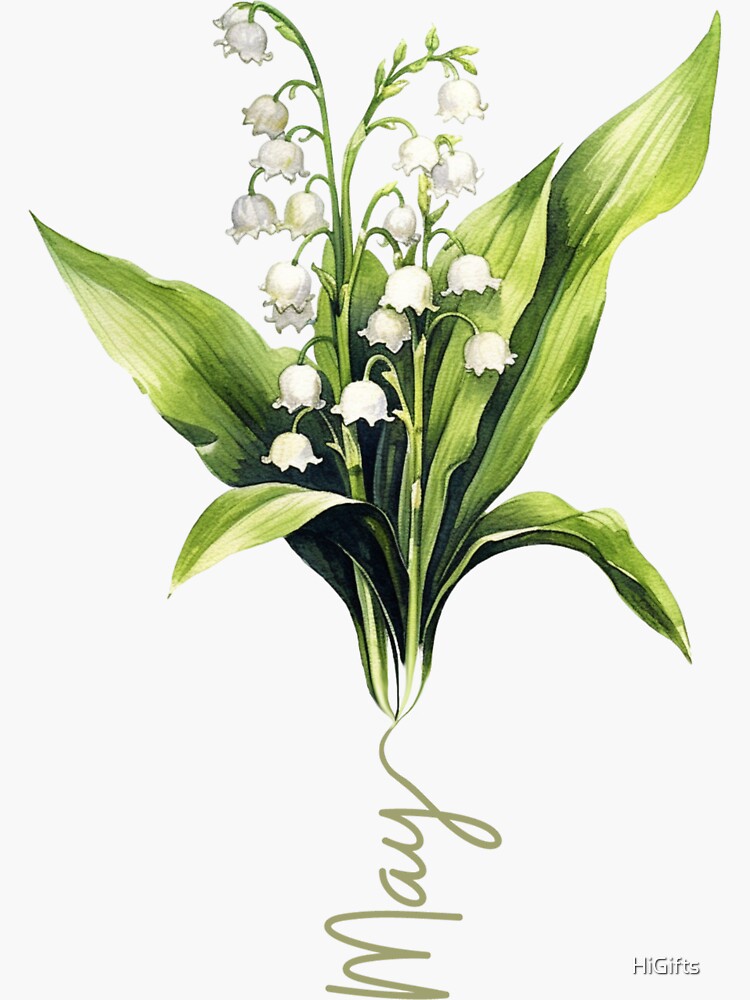 "May Birthflower" Sticker for Sale by HiGifts | Redbubble