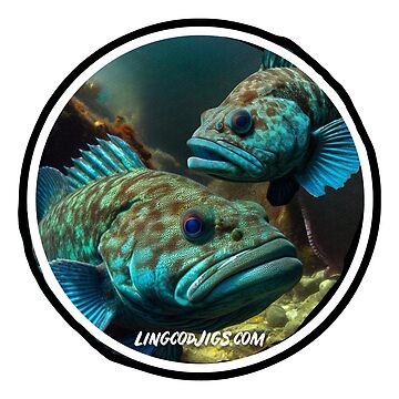 "Blue Lingcod custom design" Sticker for Sale by Jlinkgraphics | Redbubble