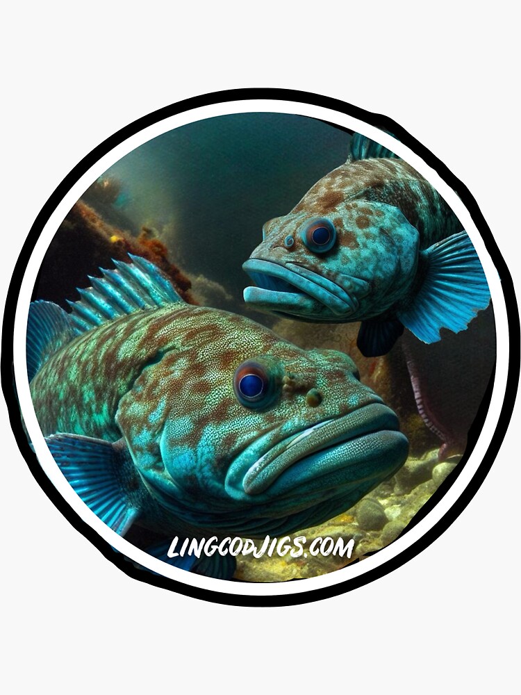 "Blue Lingcod custom design" Sticker for Sale by Jlinkgraphics | Redbubble
