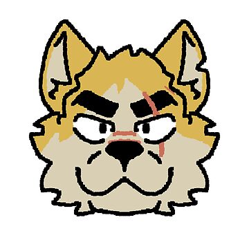 "Cooper Krager Face (Remember the Flowers)" Sticker for Sale by ...