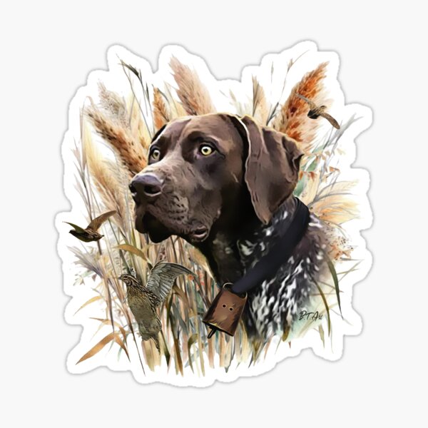 "Quail hunting with German Shorthaired Pointer " Sticker for Sale by ...