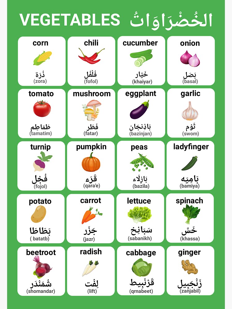 "Bilingual Vegetable Names - Arabic and English Learning Design ...