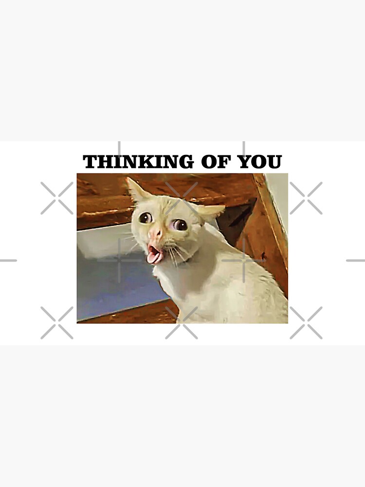 Cat Puking Memes