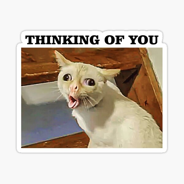 "funny cat puking meme thinking of you" Sticker for Sale by resindrop ...
