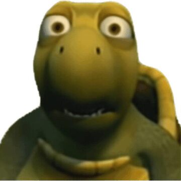 "Turtle Shocked Meme" Sticker for Sale by caseyruch30 | Redbubble