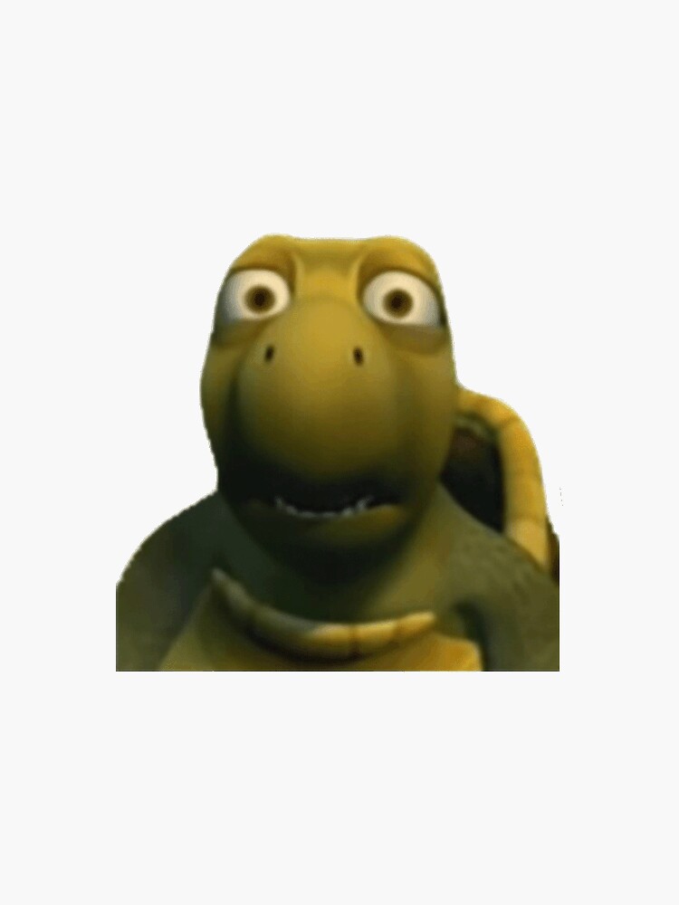"Turtle Shocked Meme" Sticker for Sale by caseyruch30 | Redbubble