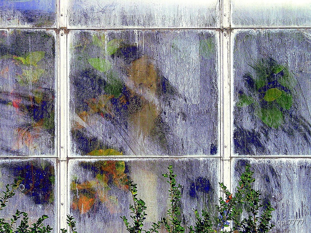"Dirty Windows" by dps7777 | Redbubble