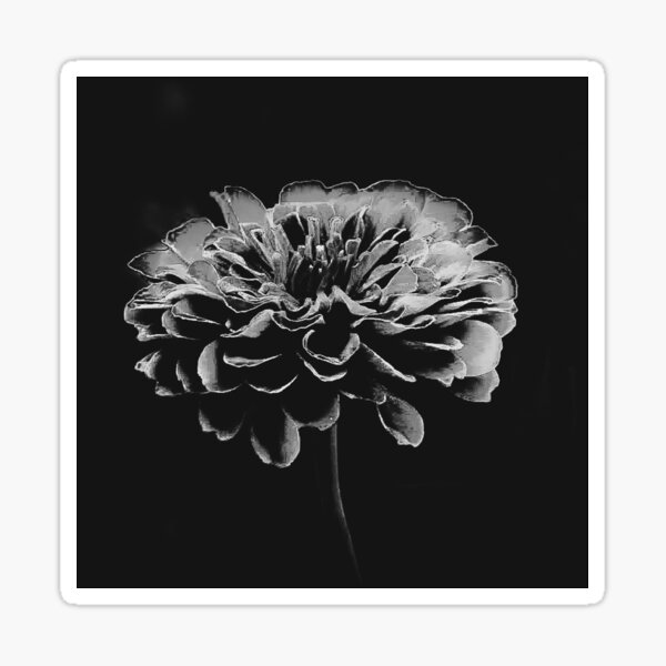 Graphene Merch & Gifts for Sale | Redbubble