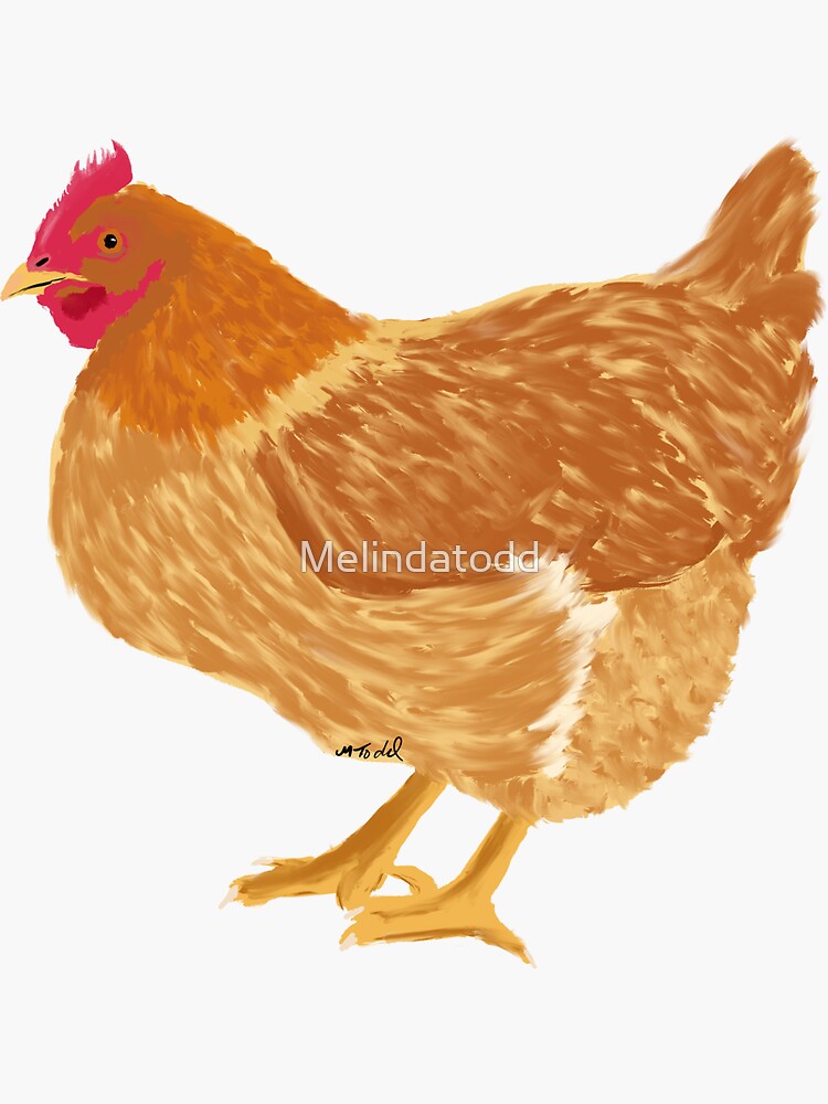 "Happy Golden Hen" Sticker by Melindatodd | Redbubble