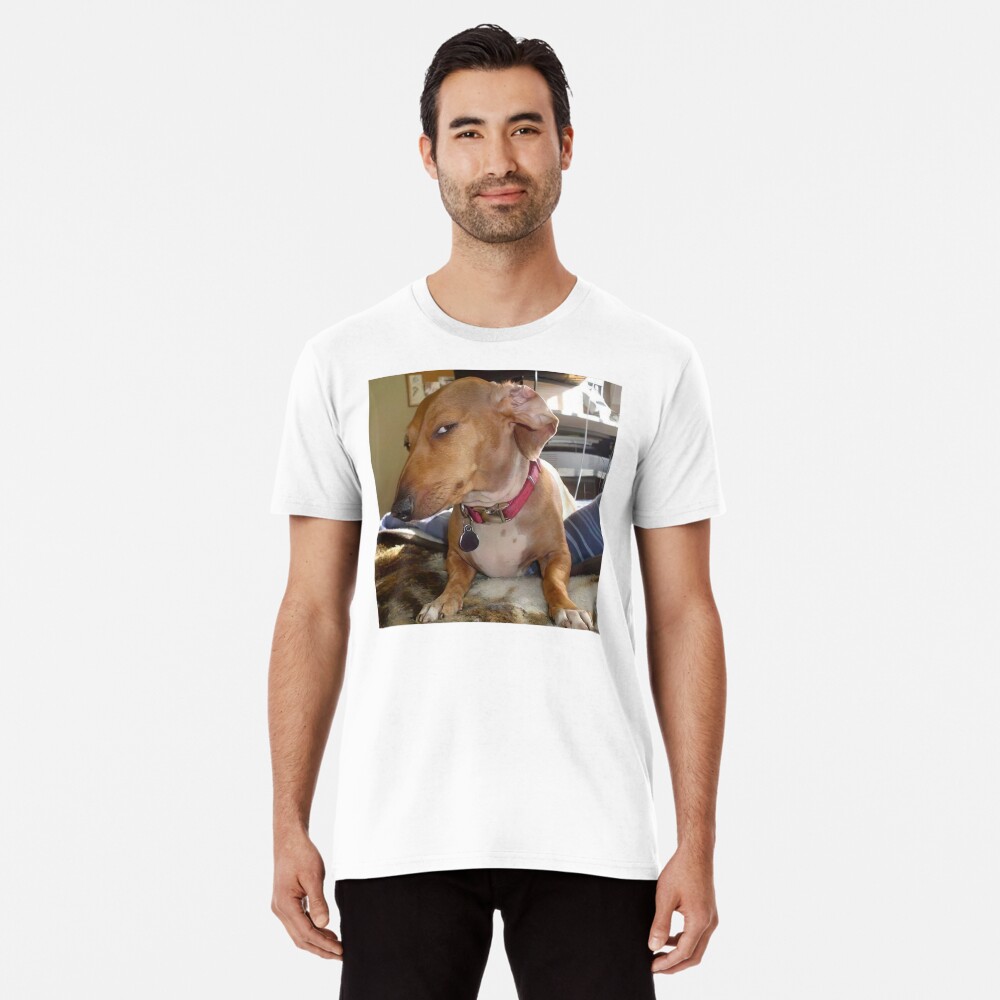 "SIDE EYE DOG MEME SUS" Sticker for Sale by Roni-KH | Redbubble