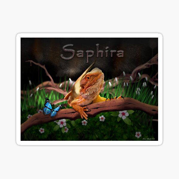 "Saphira!" Sticker for Sale by OldDawg | Redbubble