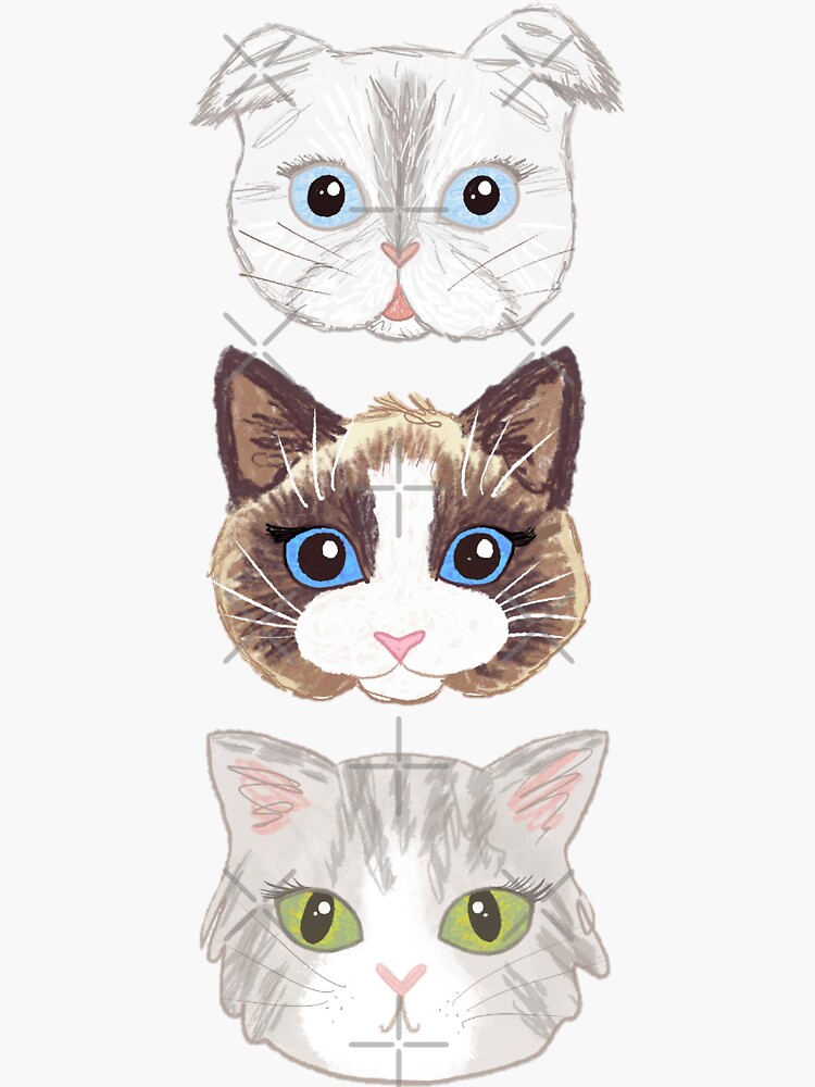 "Taylor Swift cat drawings" Sticker for Sale by PennyLoafer | Redbubble