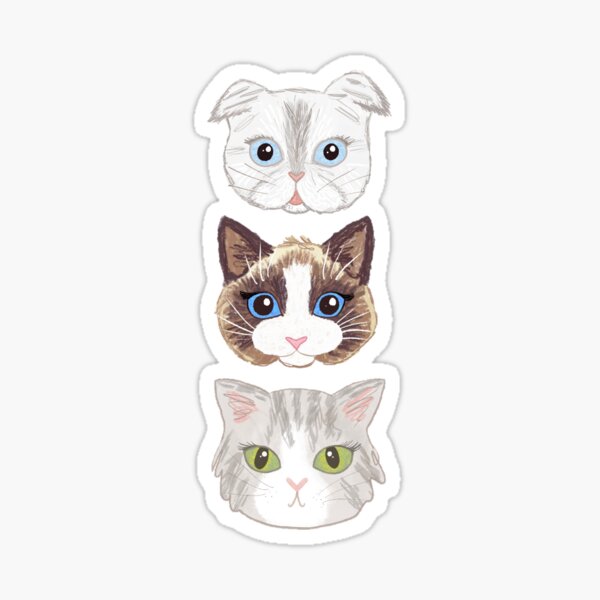 "Taylor Swift cat drawings" Sticker for Sale by PennyLoafer | Redbubble