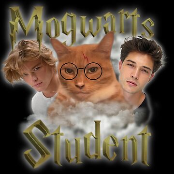 "Mogwarts Students. Viral Lookmaxxing Meme. Jordan Barett & Chico ...