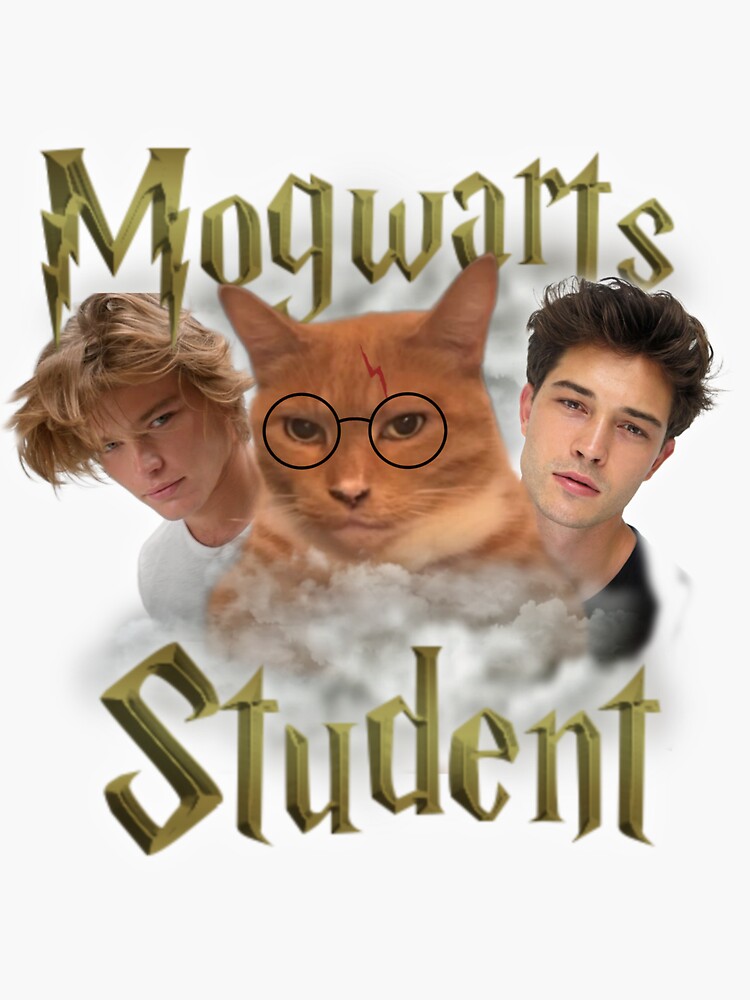 "Mogwarts Students. Viral Lookmaxxing Meme. Jordan Barett & Chico ...