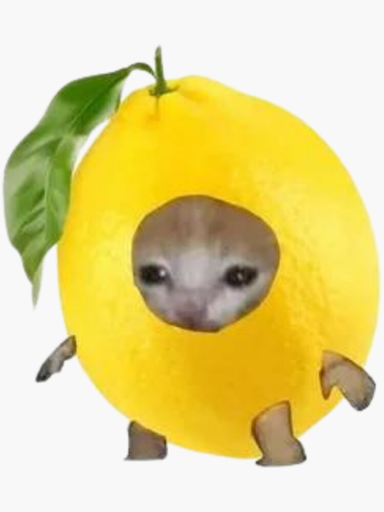 "Lemon Cat " Sticker for Sale by Vitriolacid | Redbubble