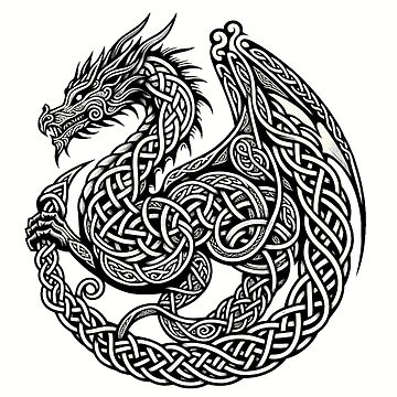 "Elegant Celtic Dragon" Sticker by lAnJefurtifeu | Redbubble