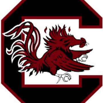 "UofSC Dress" Sticker for Sale by lucyhenrich | Redbubble