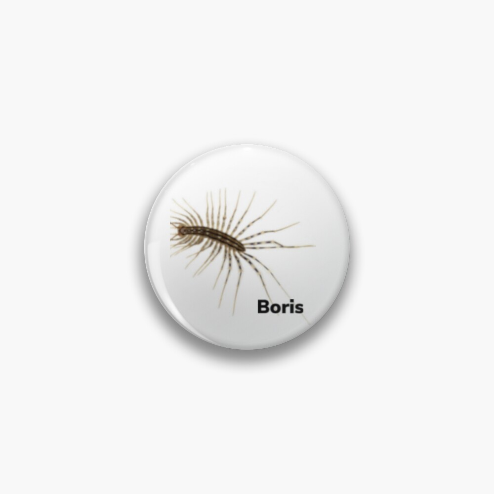 "Boris the house centipede meme" Sticker for Sale by Magironi | Redbubble