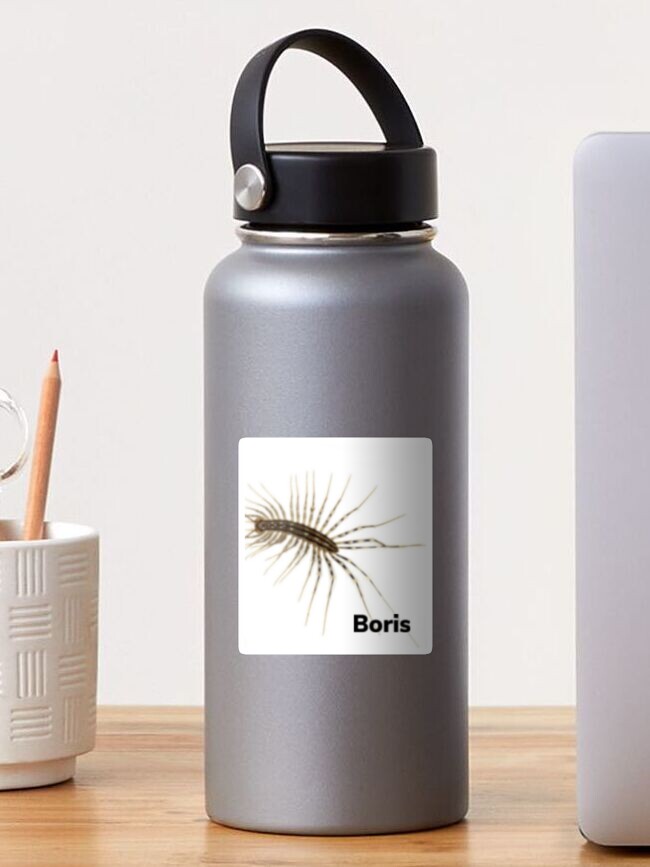 "Boris the house centipede meme" Sticker for Sale by Magironi | Redbubble
