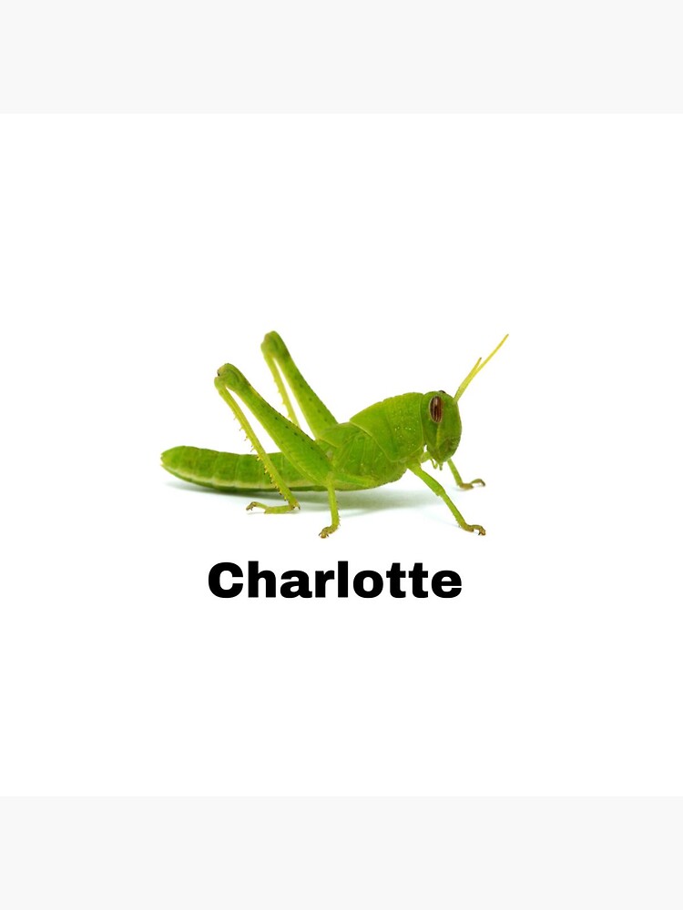 Cricket Insect Meme