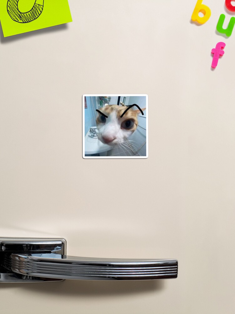 "raised eyebrow cat meme" Magnet for Sale by harajokeu | Redbubble