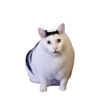 "Huh cat" Sticker for Sale by Fyleth | Redbubble