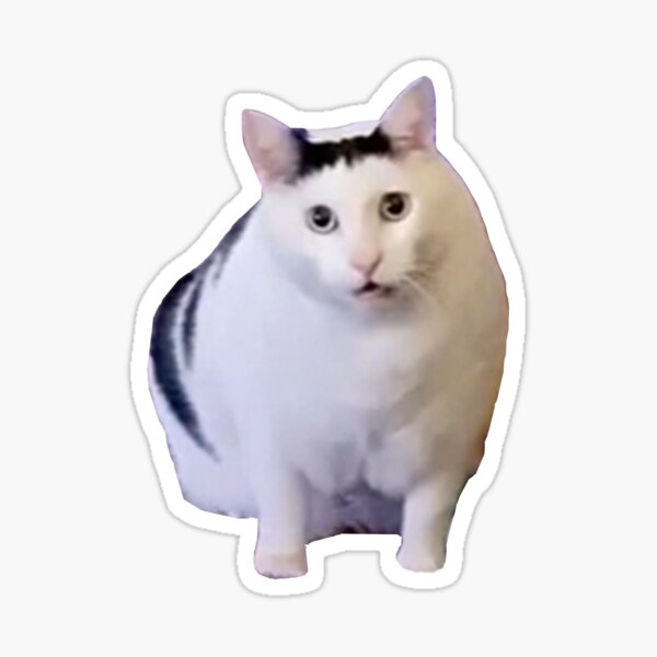 "Huh cat" Sticker for Sale by Fyleth | Redbubble